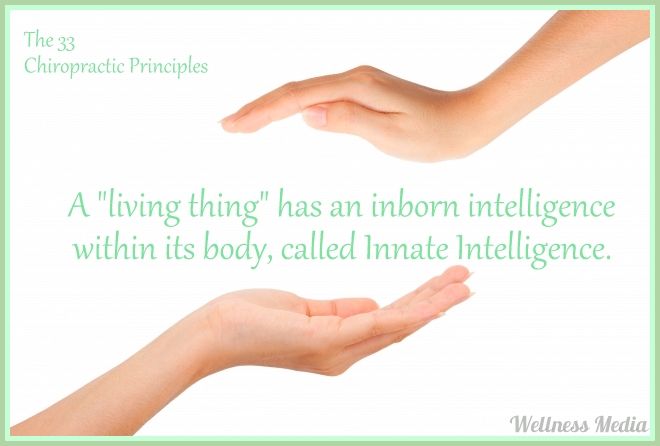 What is Innate Intelligence? – Yost Family Chiropractic – (515) 278-YOST